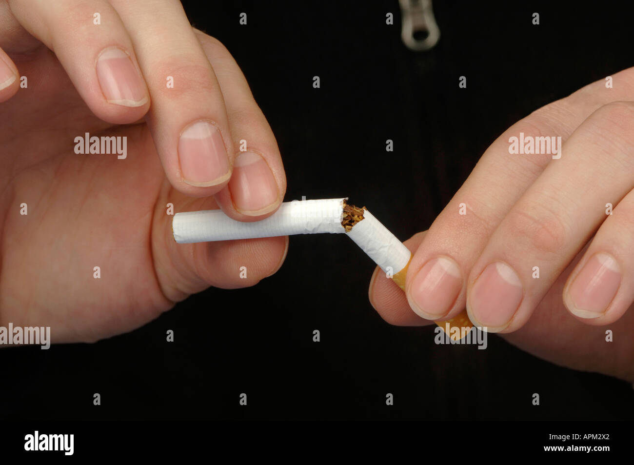 Des mains humaines brisant des cigarettes Banque de photographies et d ...