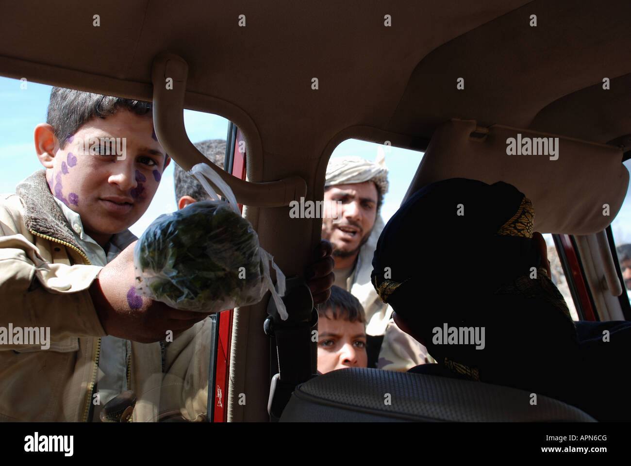 Le khat au yemen Banque de photographies et d’images à haute résolution ...