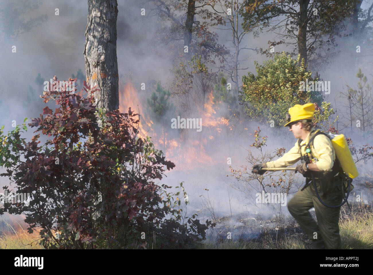 Pompier de forêt Banque de photographies et d’images à haute résolution ...