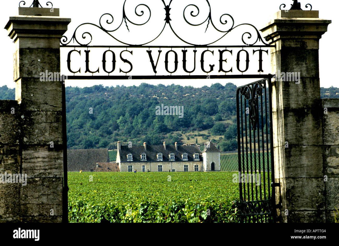 Clos vougeot Banque de photographies et d’images à haute résolution - Alamy