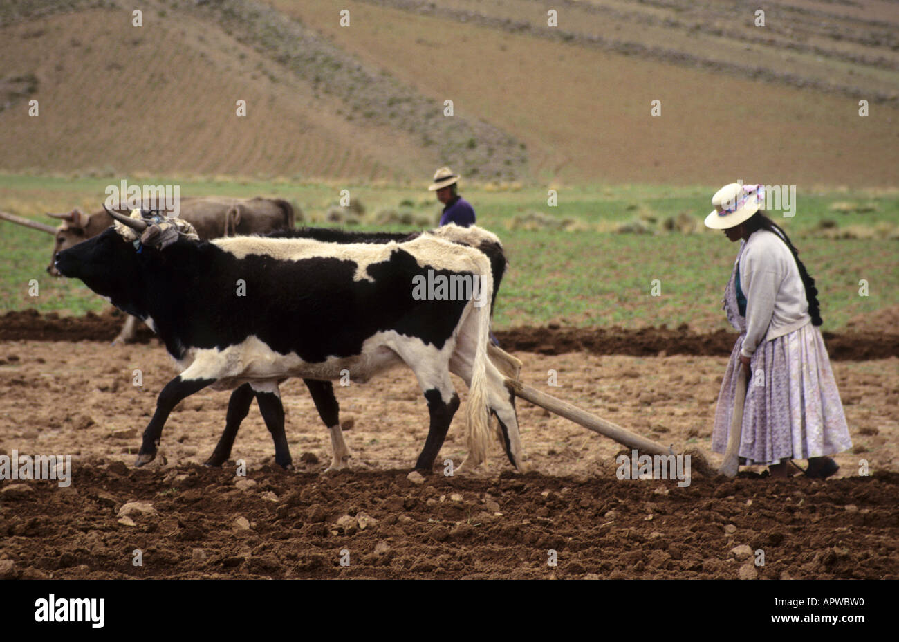 Femme labourant le terrain Banque de photographies et d’images à haute ...