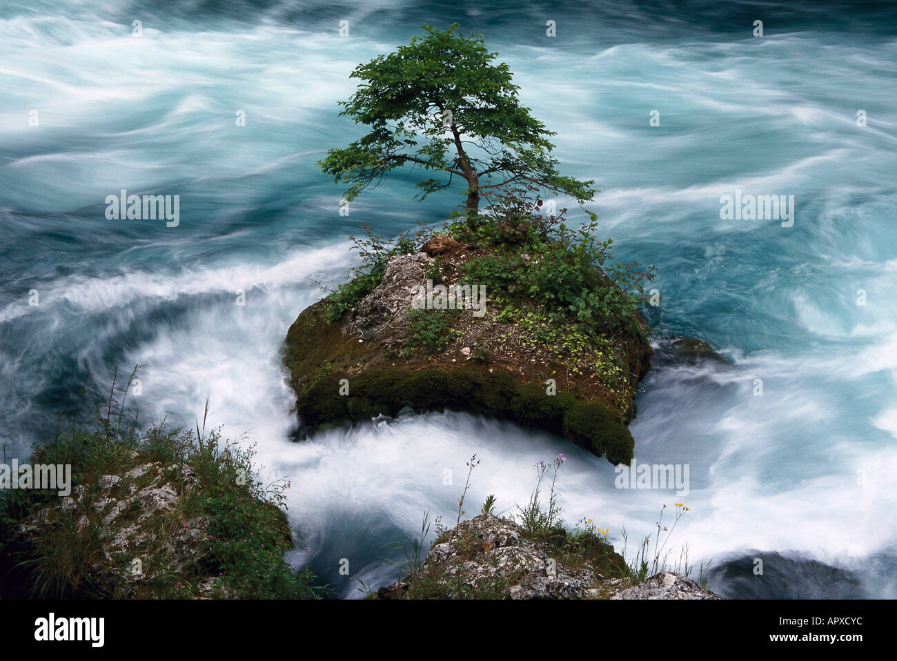 île sur la sorgue Banque de photographies et d’images à haute ...