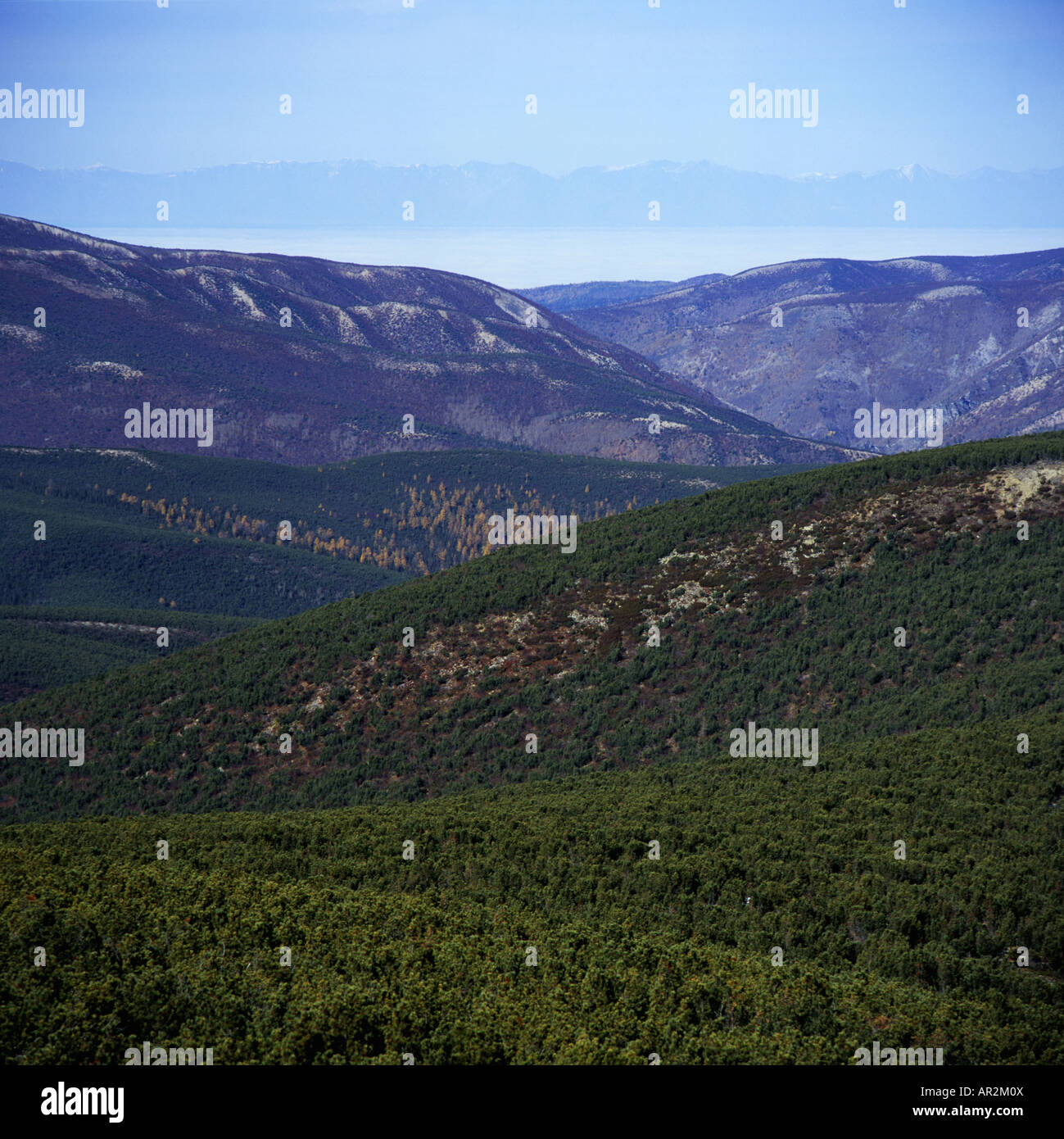 Le paysage dans le Parc National de Bargusin au Lac Baikal en hiver, en ...