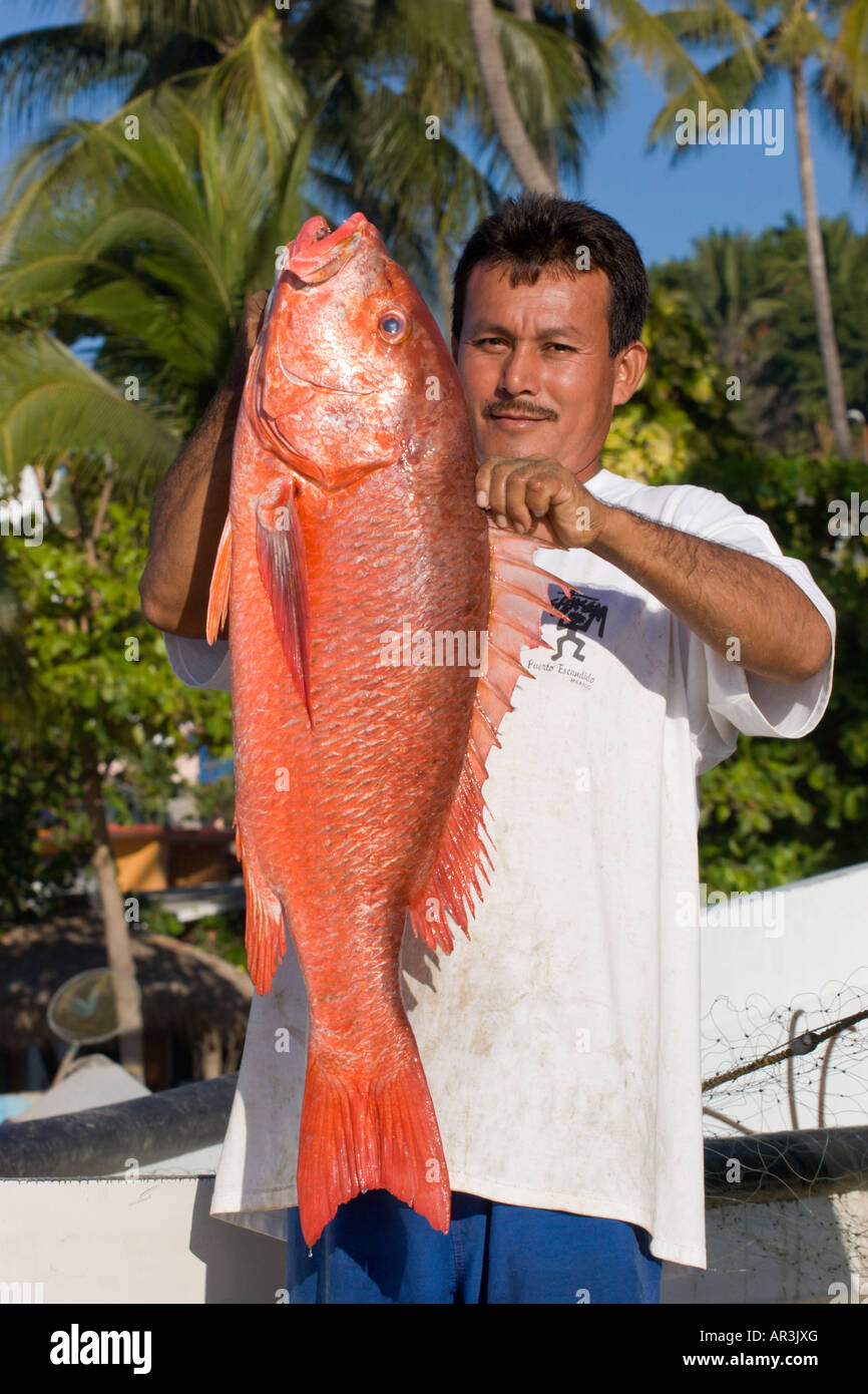 Pargo fish Banque de photographies et d’images à haute résolution - Alamy