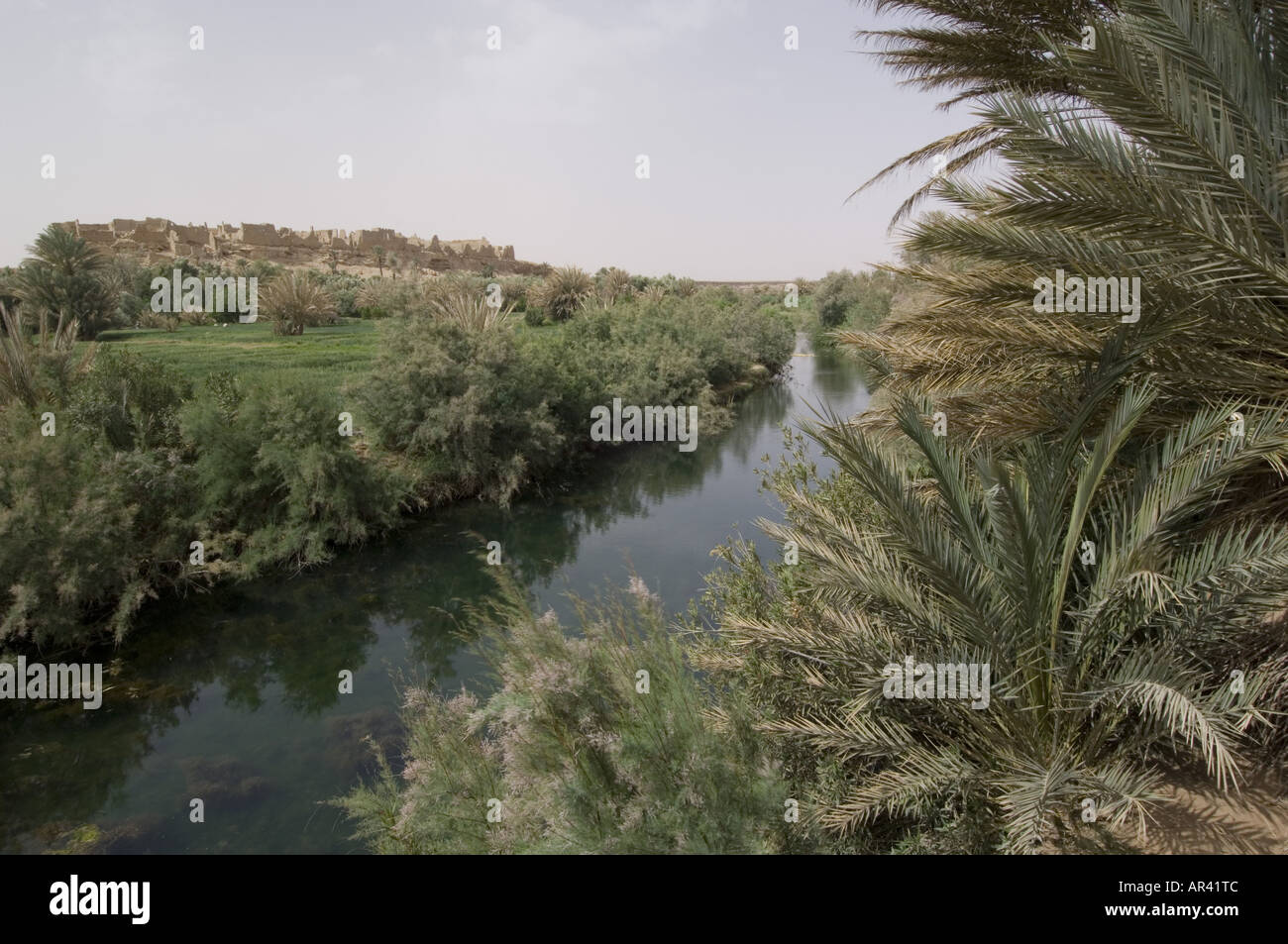 Source bleue de Meski, Oasis de Meski près de Er Rachidia, Maroc Photo ...