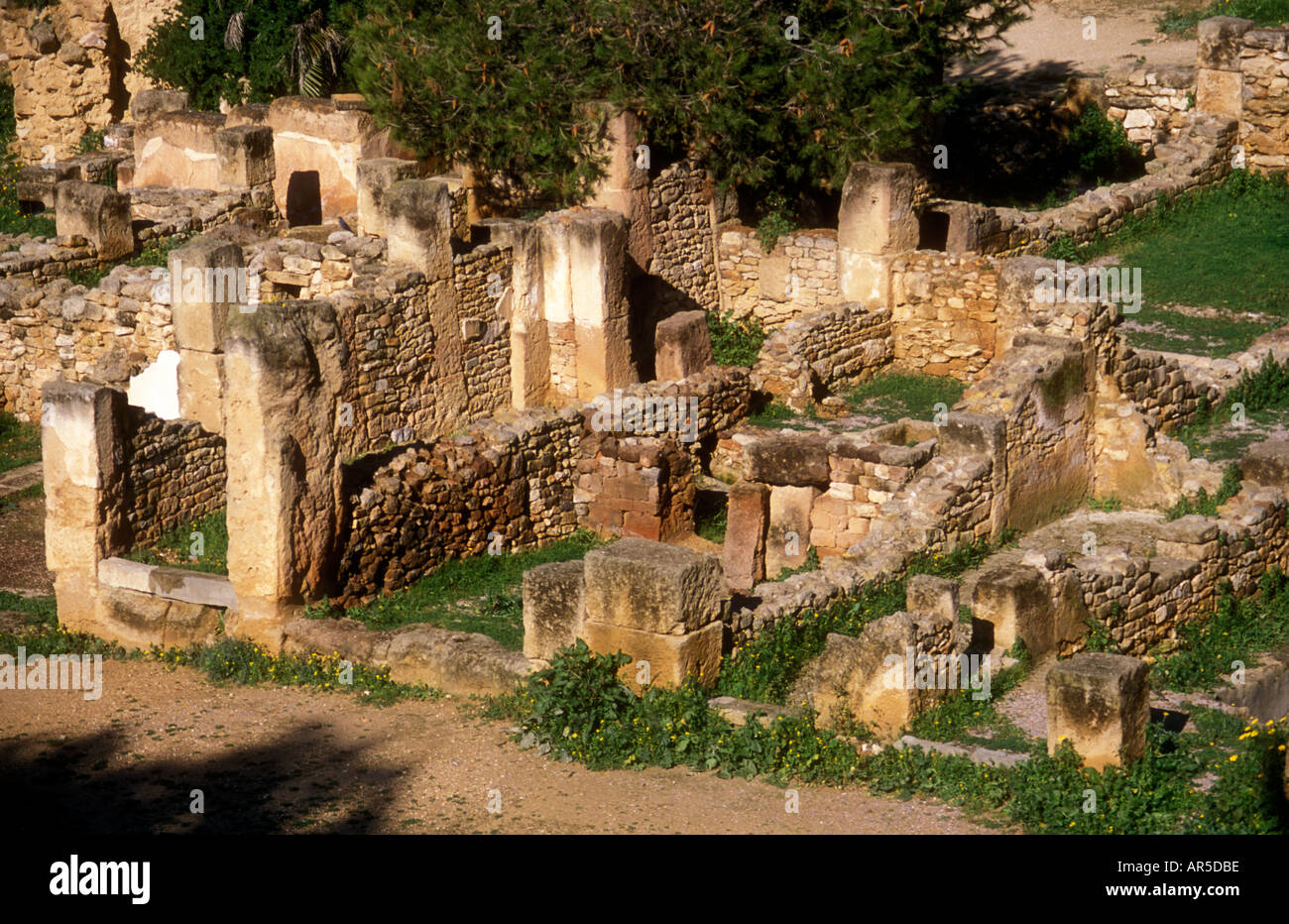 Carthage ruins Banque de photographies et d’images à haute résolution ...