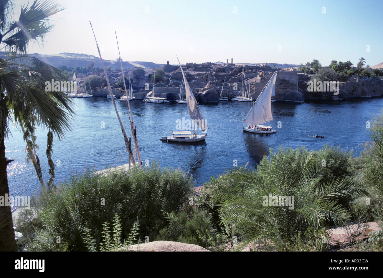 River nile cataract elephantine island Banque de photographies et d ...
