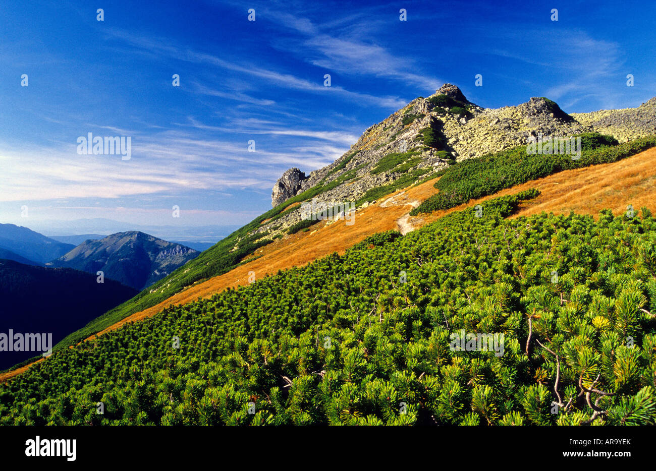 Tatra mountains Banque de photographies et d’images à haute résolution ...