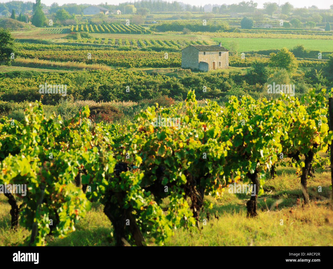 France provence vineyard farmhouse Banque de photographies et d’images ...