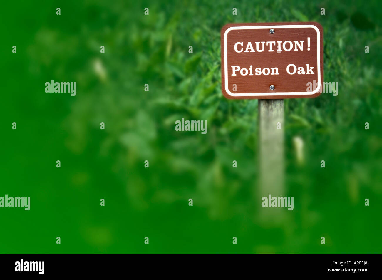 Poison ivy warning sign Banque de photographies et d’images à haute ...