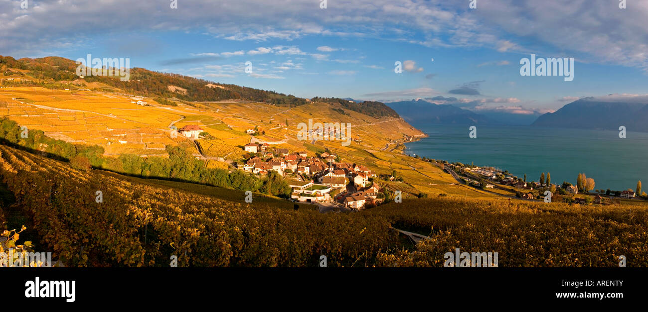 Epesses in lavaux Banque de photographies et d’images à haute ...