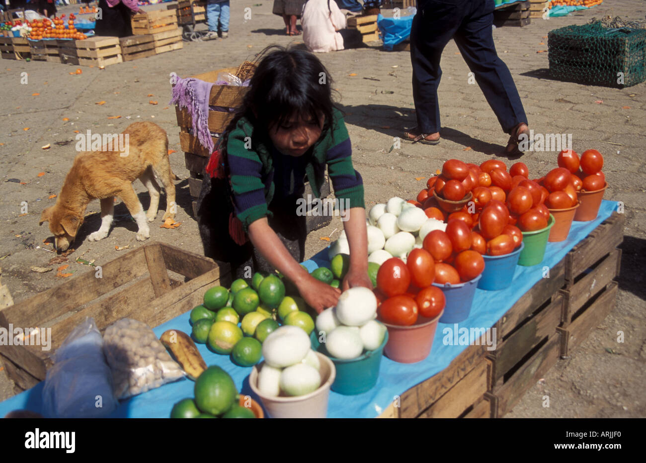 Chamula girl Banque de photographies et d’images à haute résolution - Alamy
