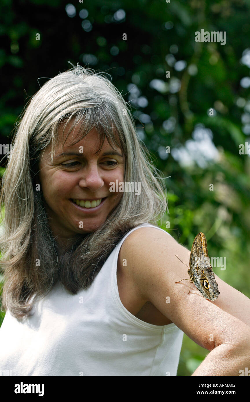 Papillons du costa rica Banque de photographies et d’images à haute ...