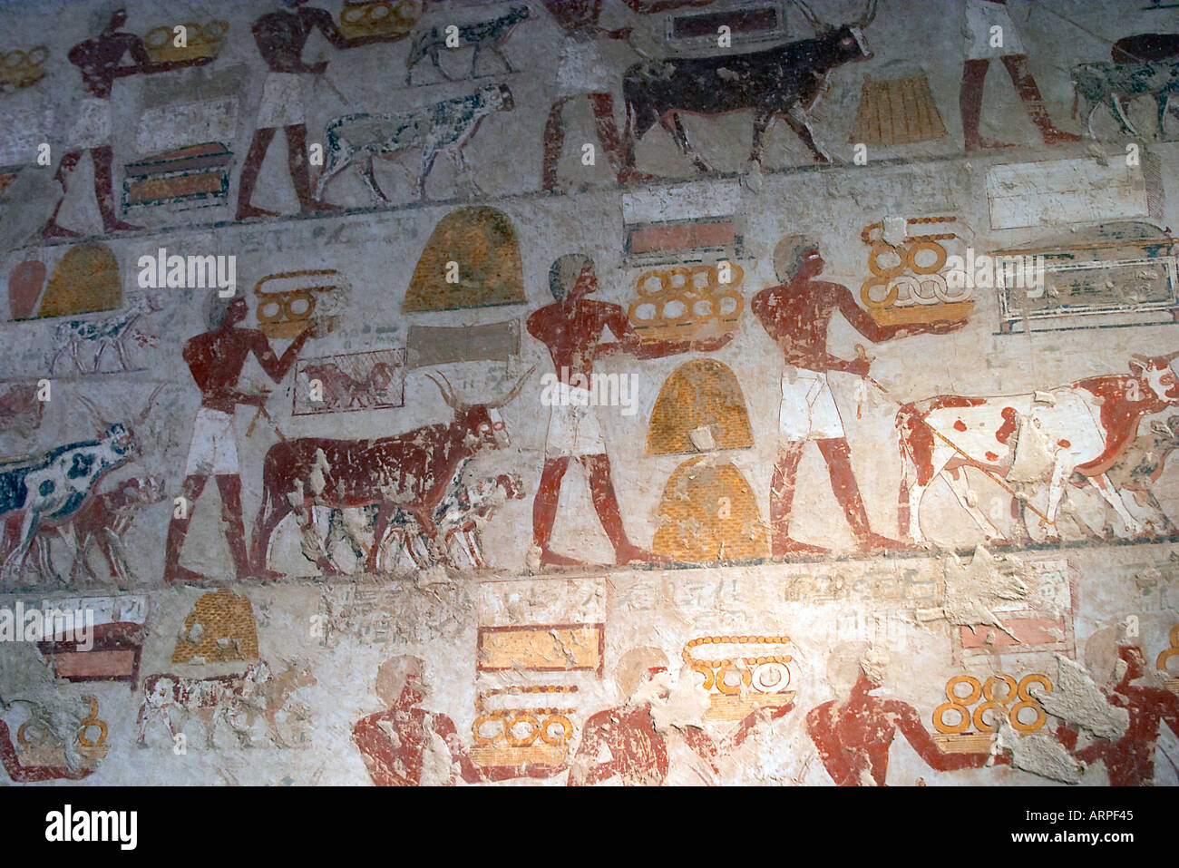 Tomb of rekhmire Banque de photographies et d’images à haute résolution ...