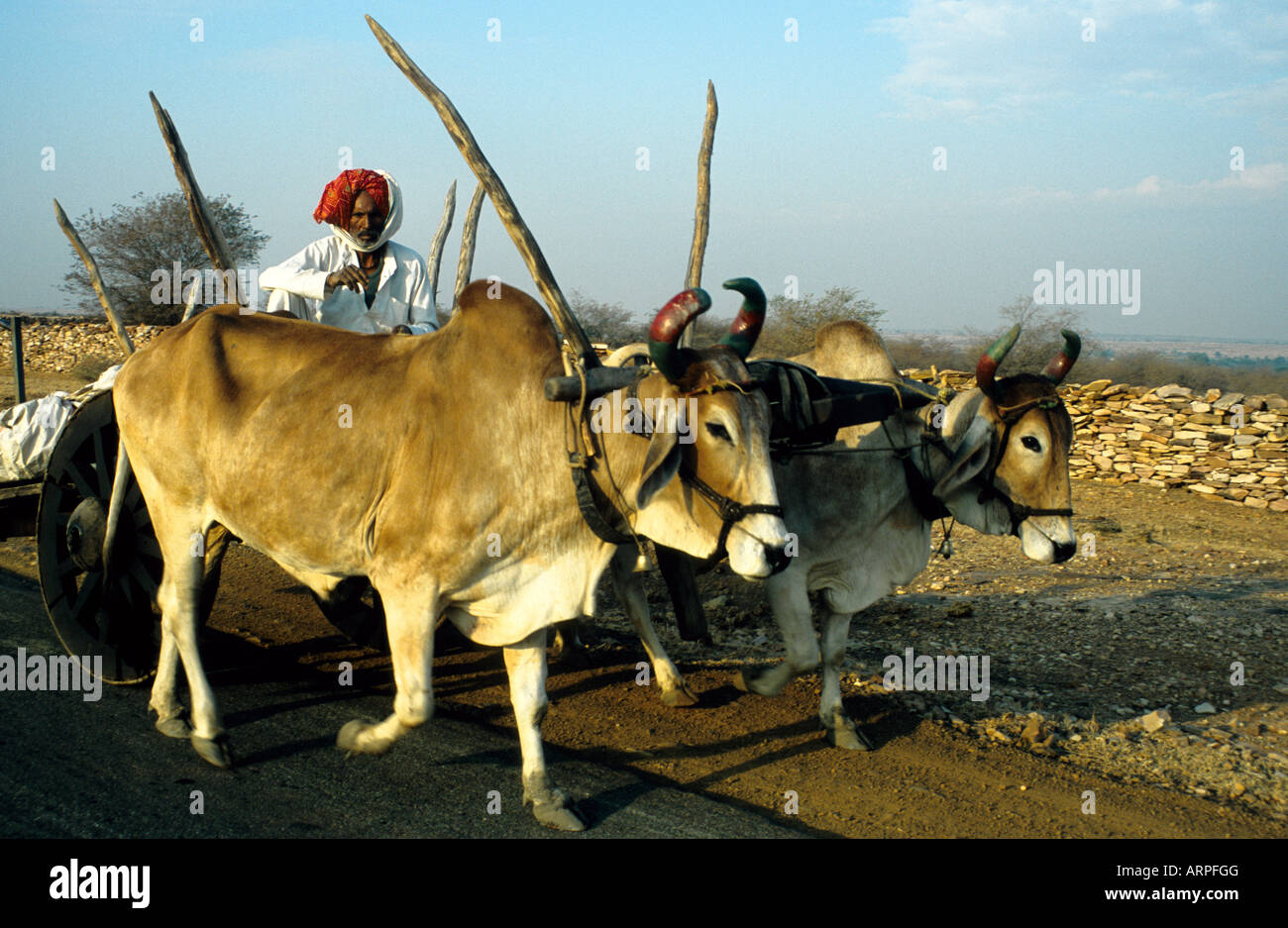 Bœufs et charrette Banque de photographies et d’images à haute résolution - Alamy