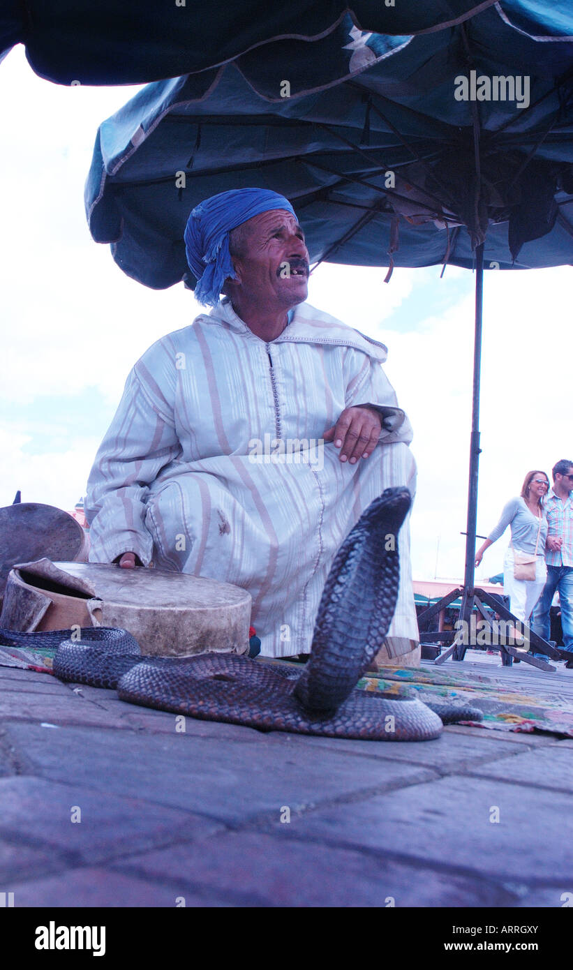 Charmeur de serpents de marrakech Banque de photographies et d’images à ...