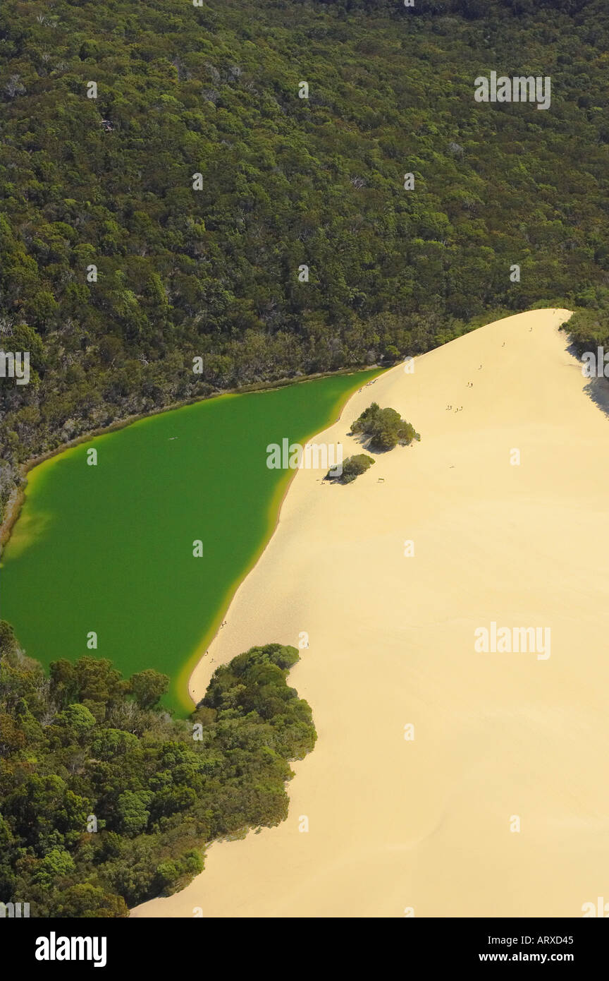 Fraser Island Queensland Lake Wabby Banque d'image et photos - Alamy