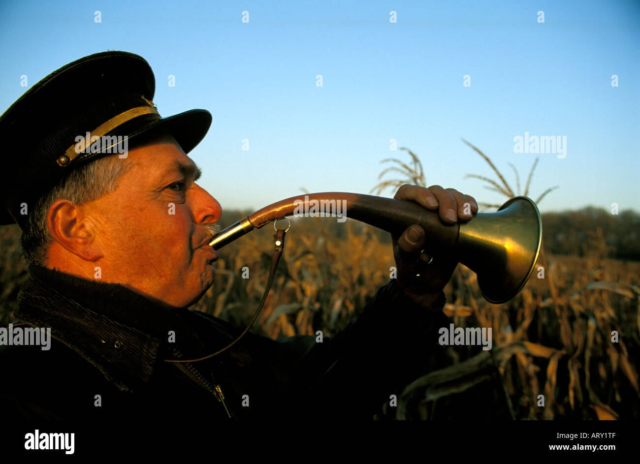 Cor de chasse cor de chasse Banque de photographies et d’images à haute ...