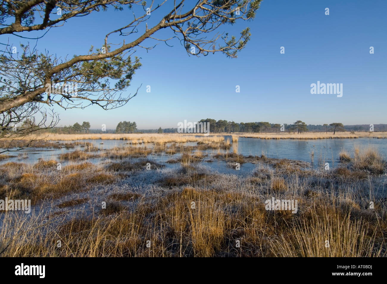 Thursley surrey Banque de photographies et d’images à haute résolution ...