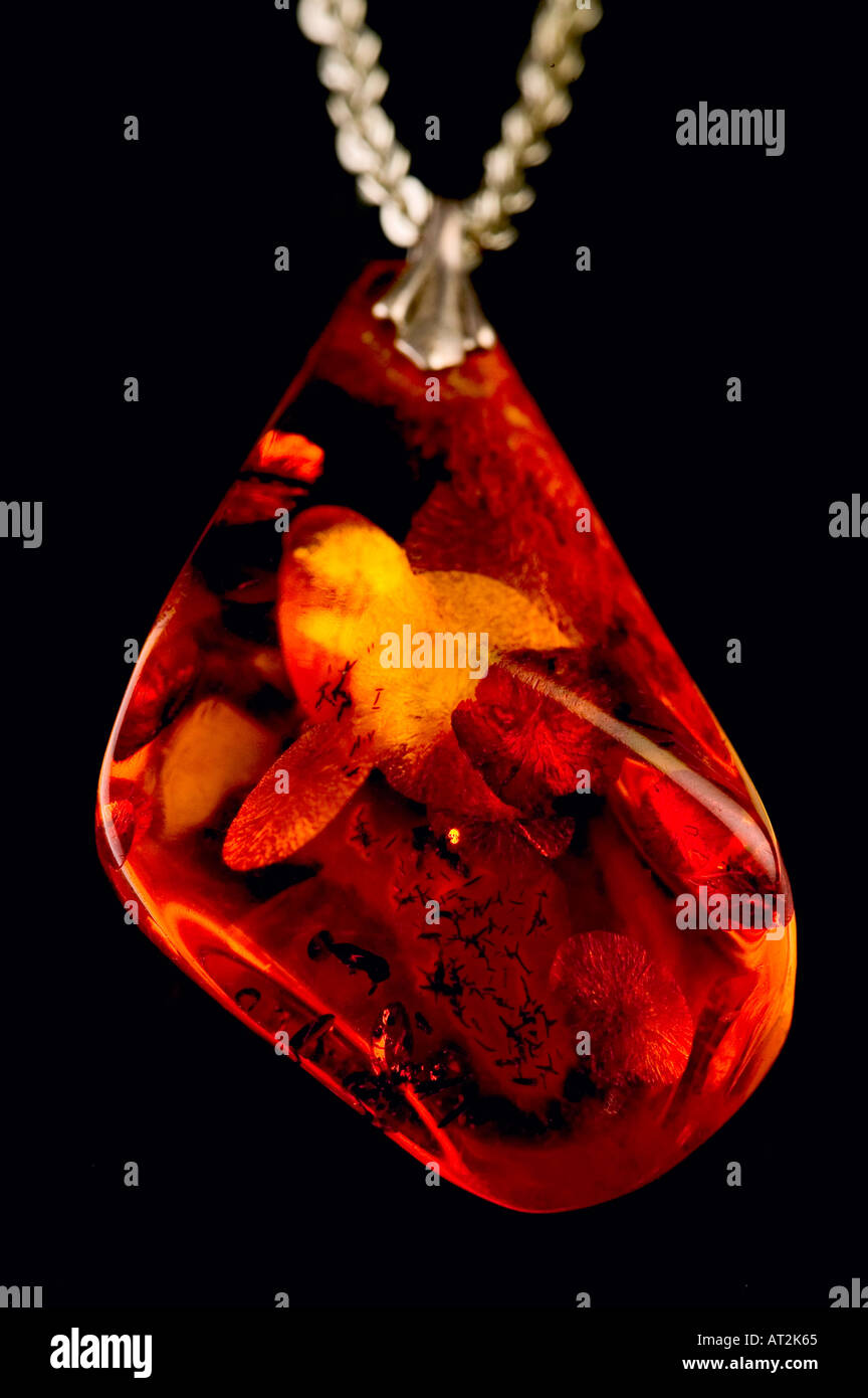 Ambre le bon Banque de photographies et d’images à haute résolution - Alamy