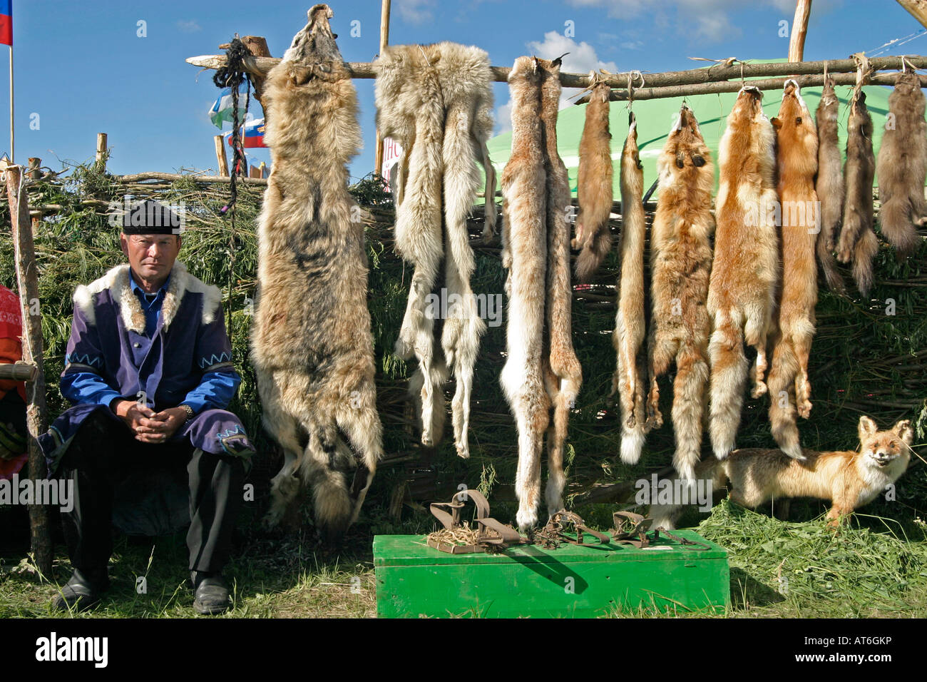 Loup Russe Banque d'image et photos - Alamy