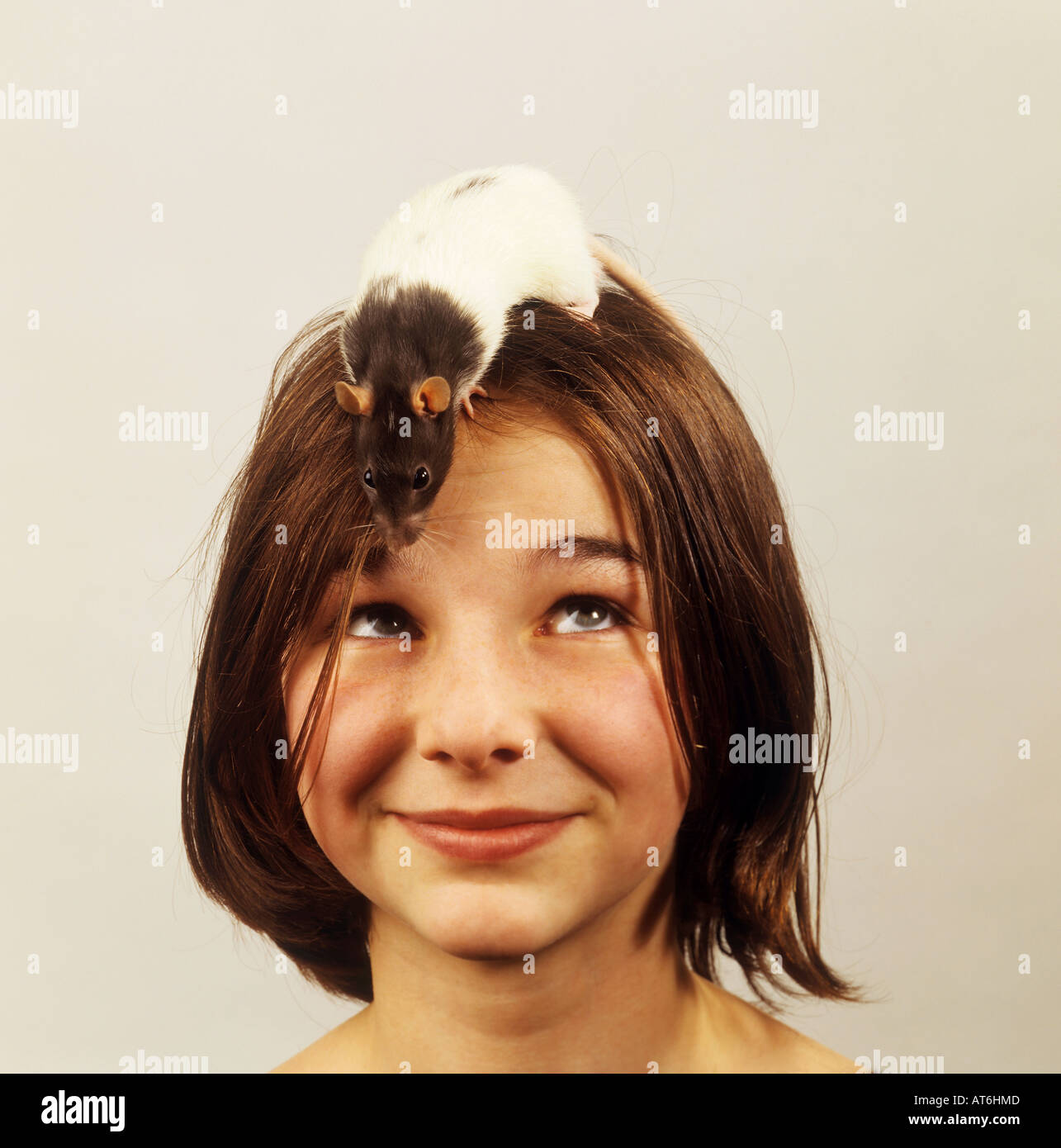 Ratier noir Banque de photographies et d’images à haute résolution - Alamy