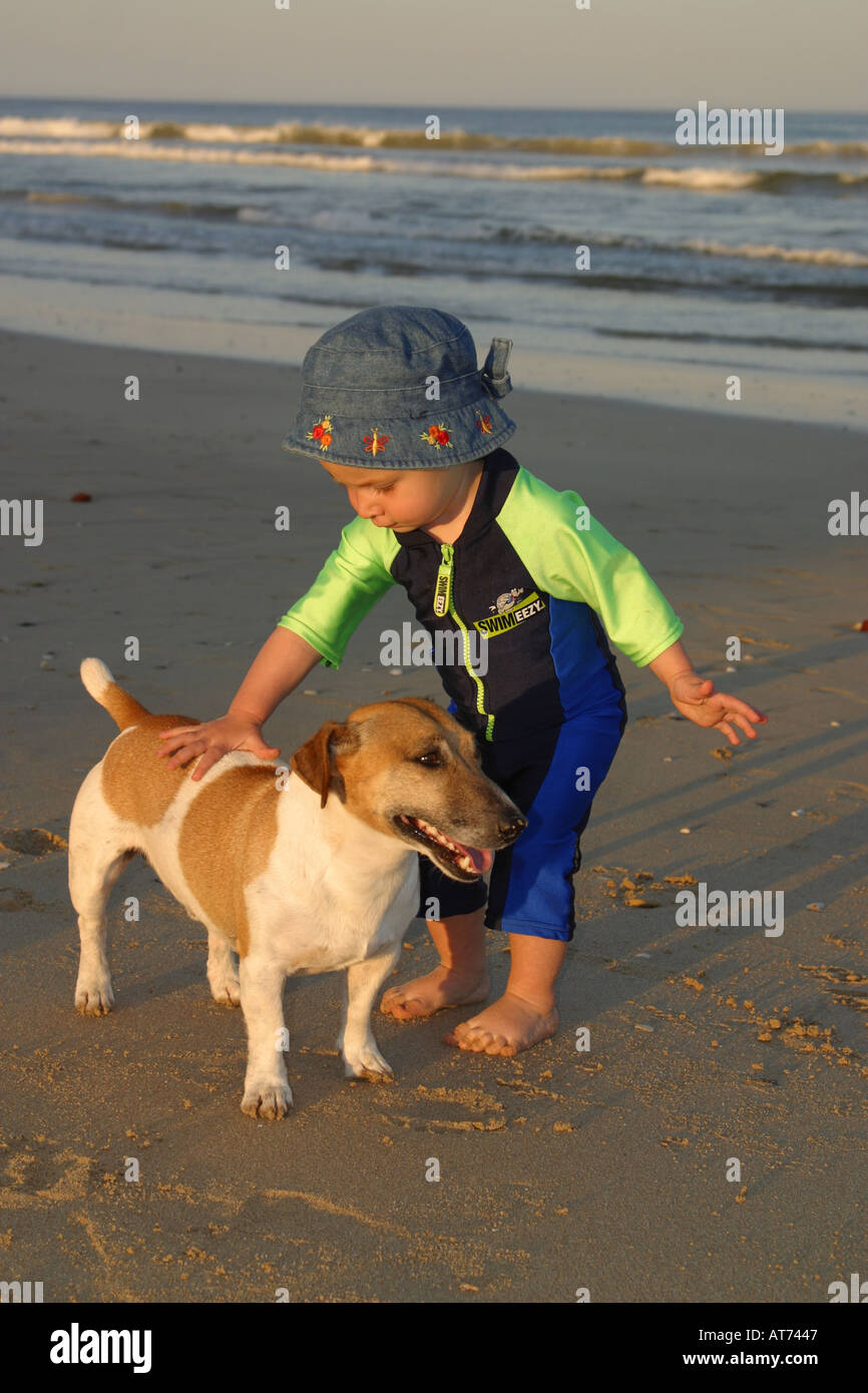 Chien sur la plage Banque de photographies et d’images à haute ...
