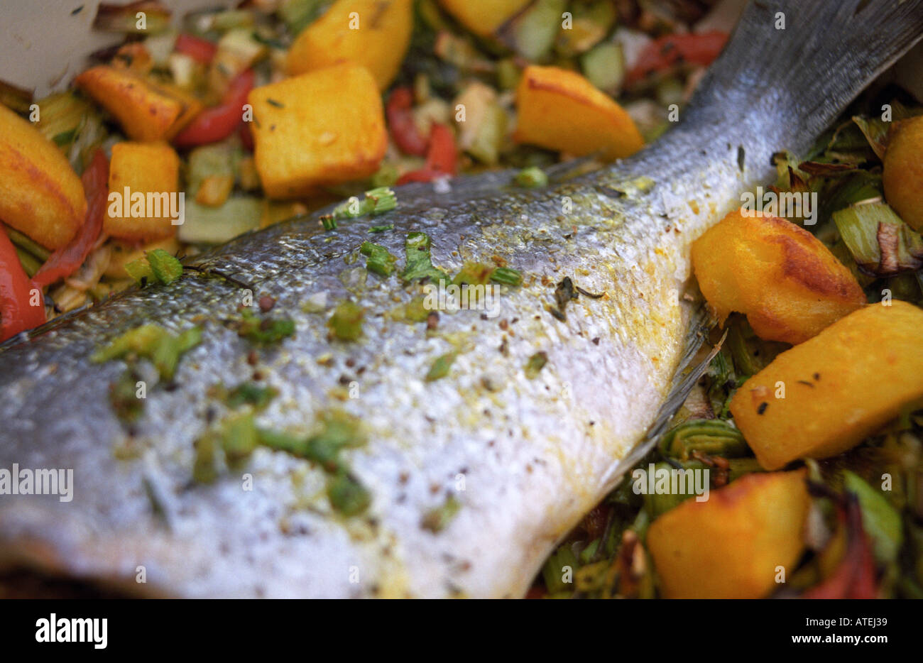 Dorade aux yeux rouges Banque de photographies et d’images à haute ...