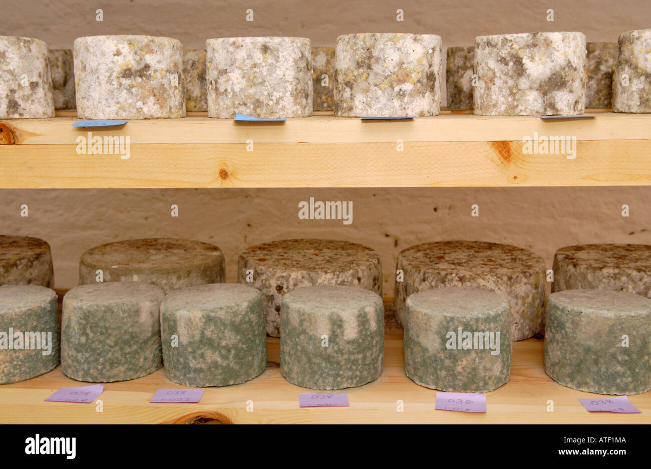 Fromage de brebis traditionnel Banque de photographies et d’images à ...