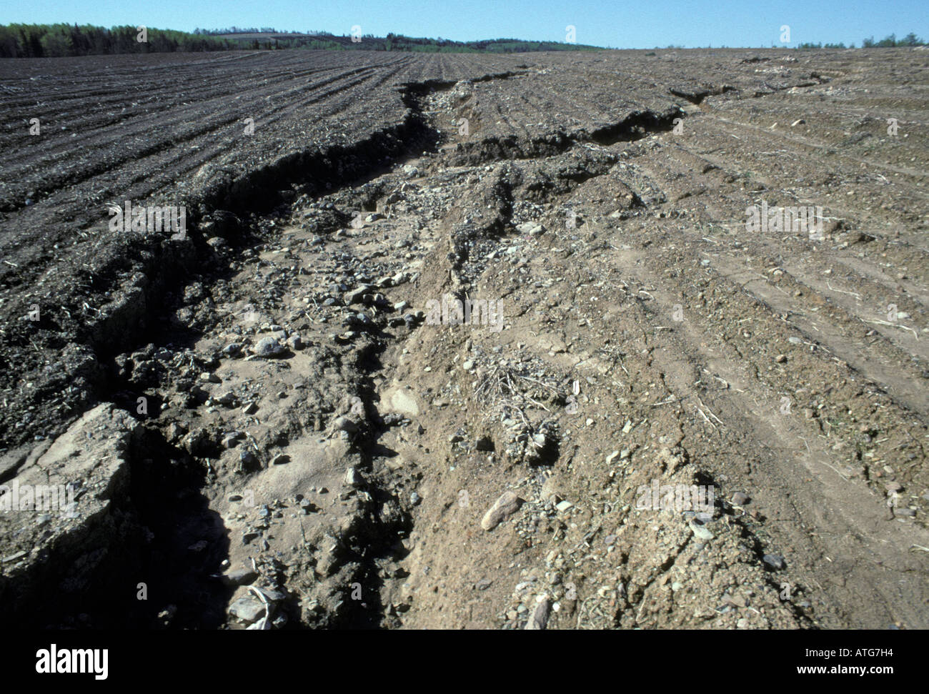 Soil erosion Banque de photographies et d’images à haute résolution - Alamy