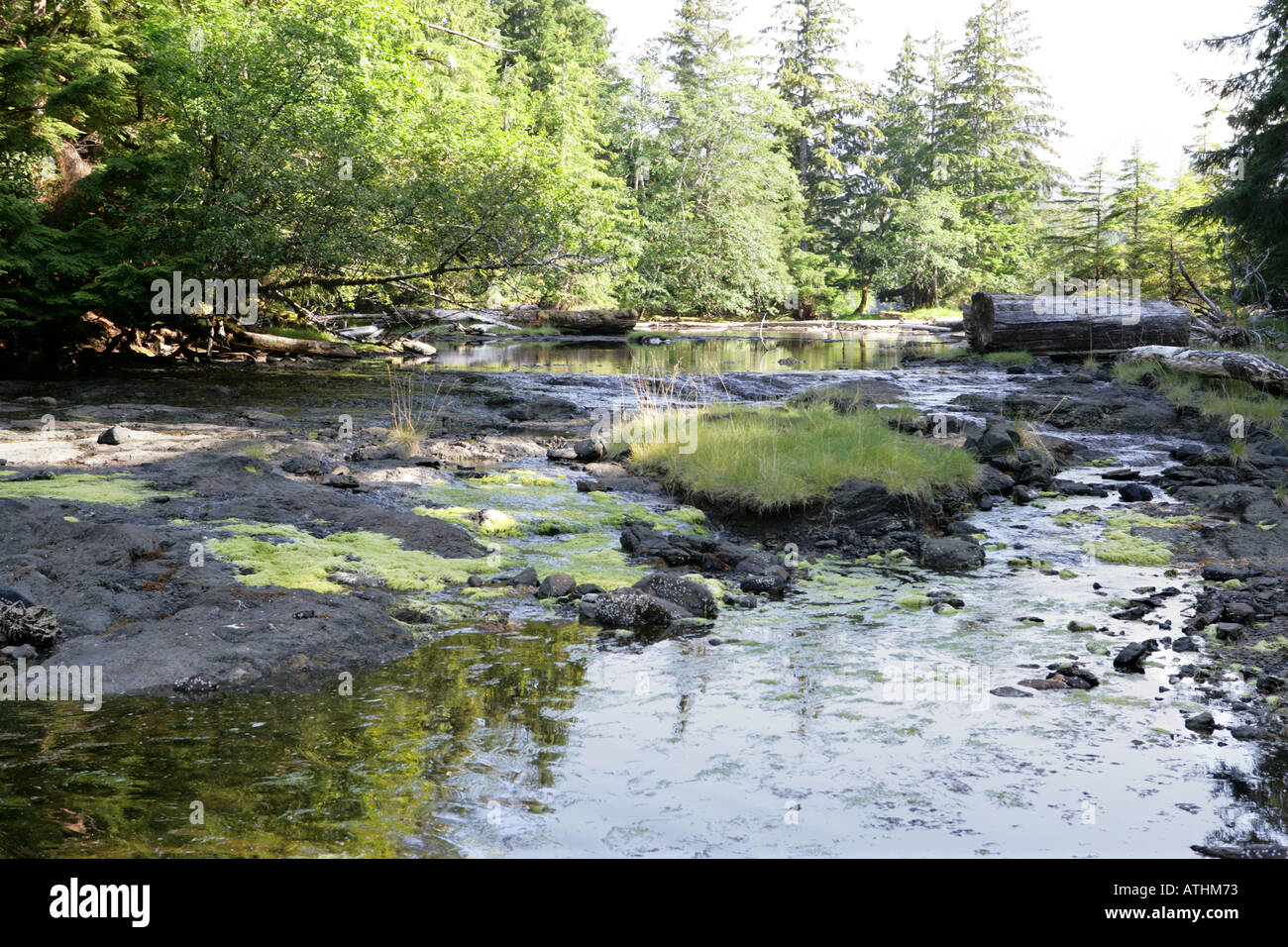 L'eau de mer où se réunit l'eau douce [5] à Masset Inlet, les îles de ...