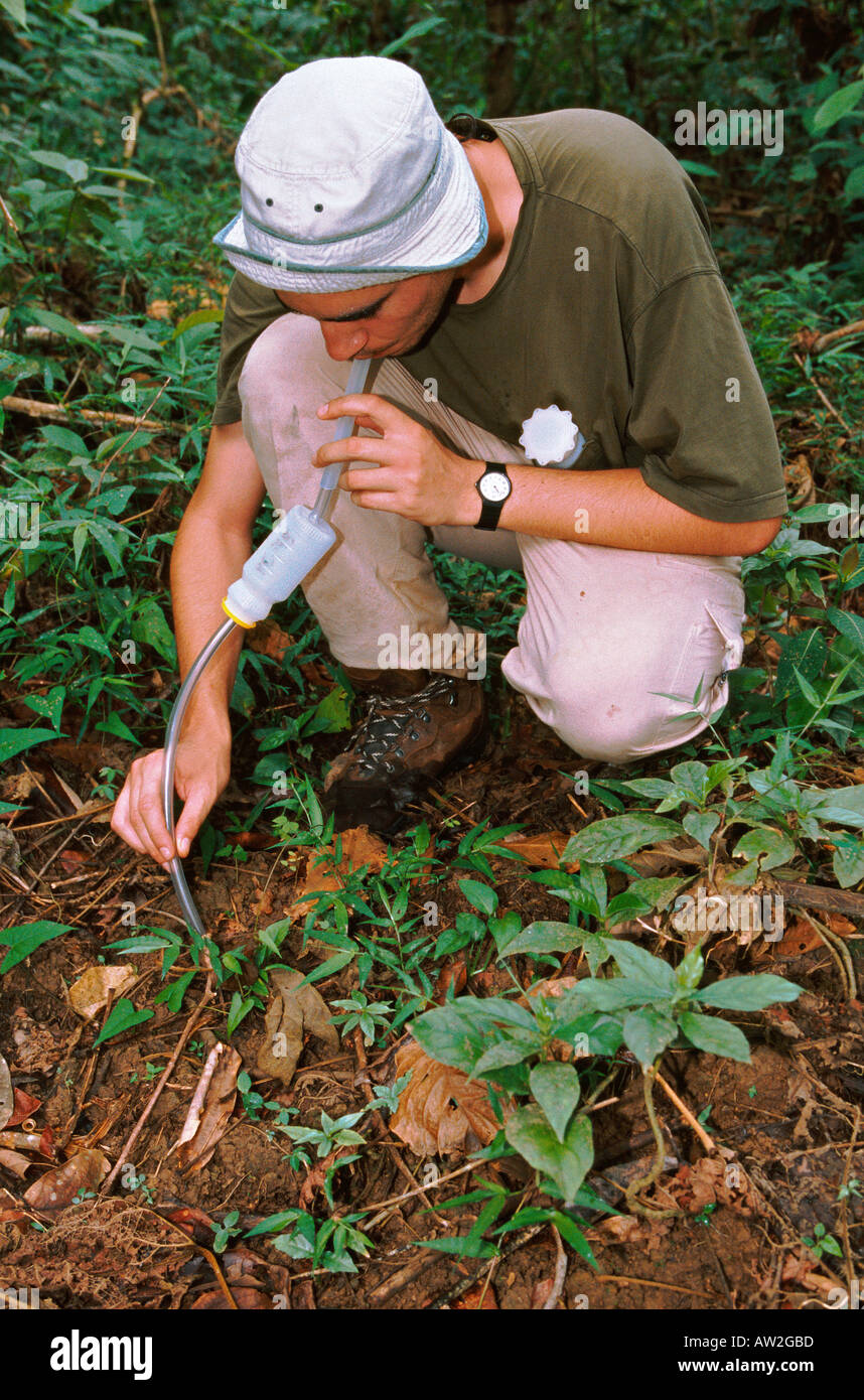 Entomologiste aspirateur Banque de photographies et d’images à haute ...