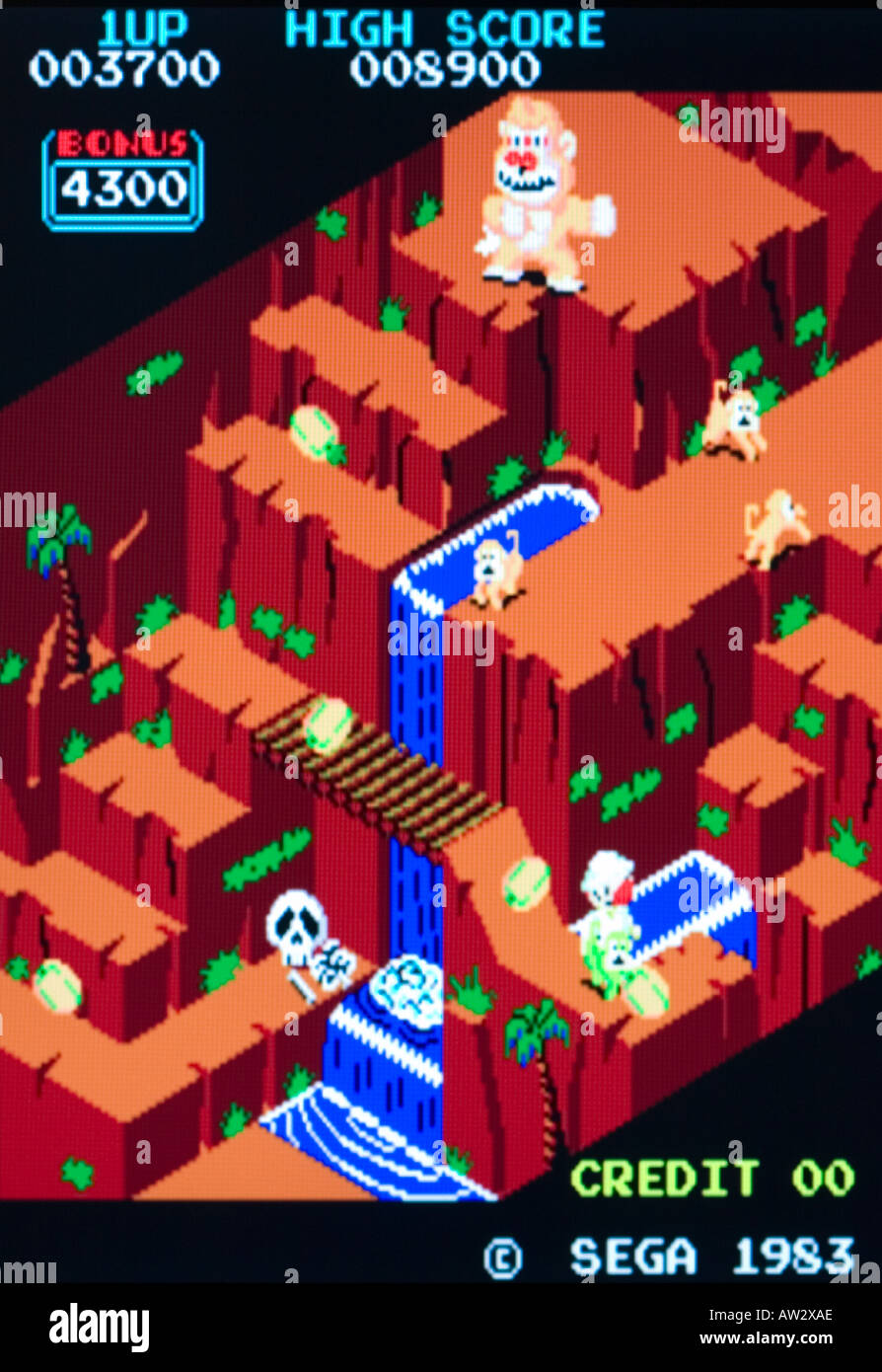 Congo Bongo Sega Vintage 1983 capture d'écran du jeu vidéo d'arcade - EDITORIAL UTILISEZ ...