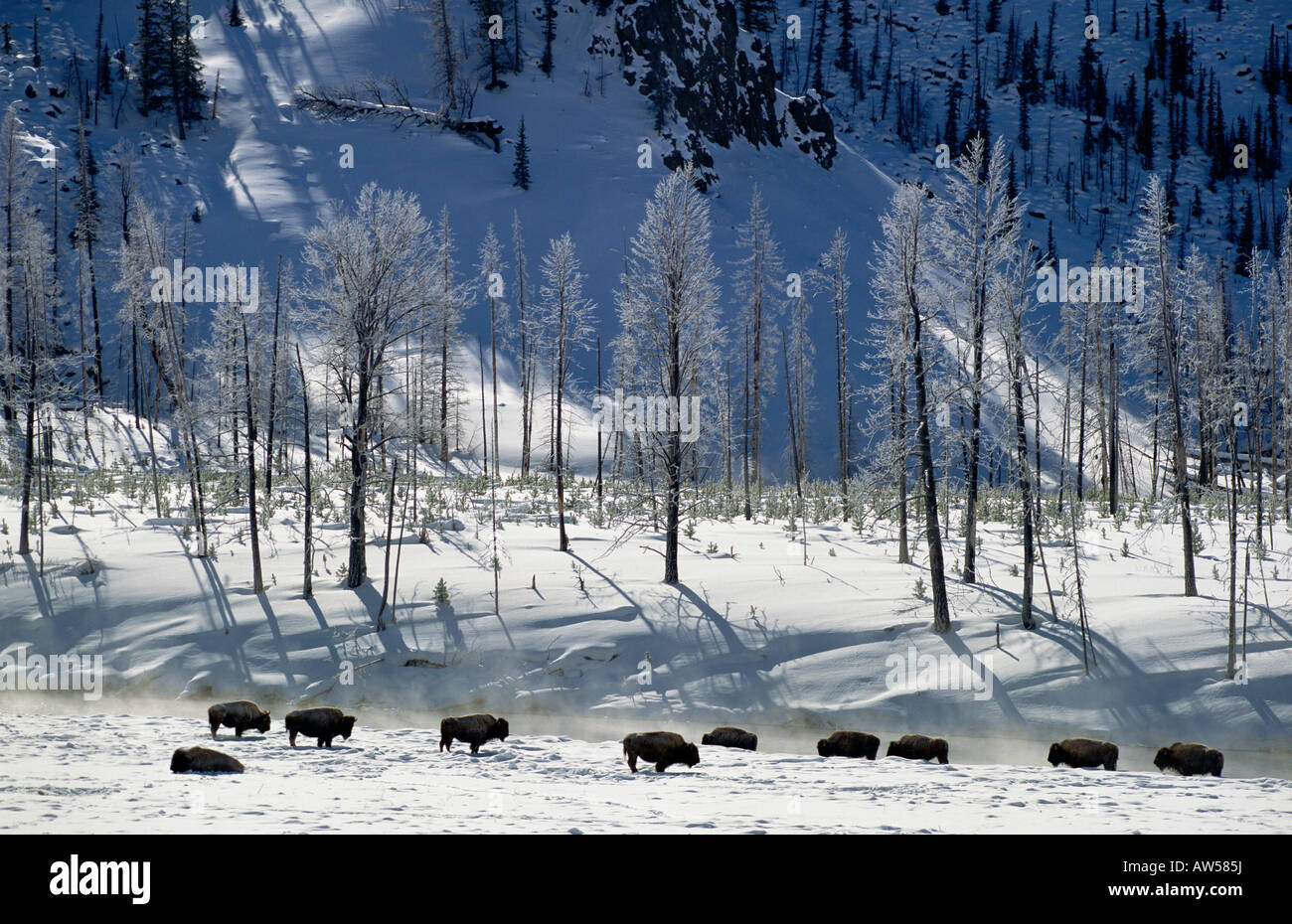 Madison canyon Banque de photographies et d’images à haute résolution ...