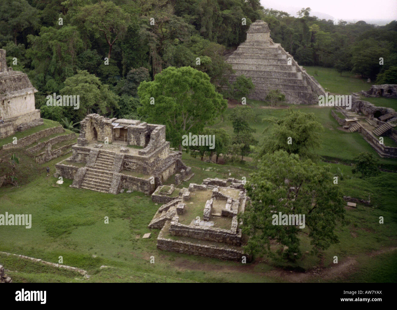 Site Maya de magnifiques pyramides ville antique arbre jungle sauvage tropical exotique Palenque ...