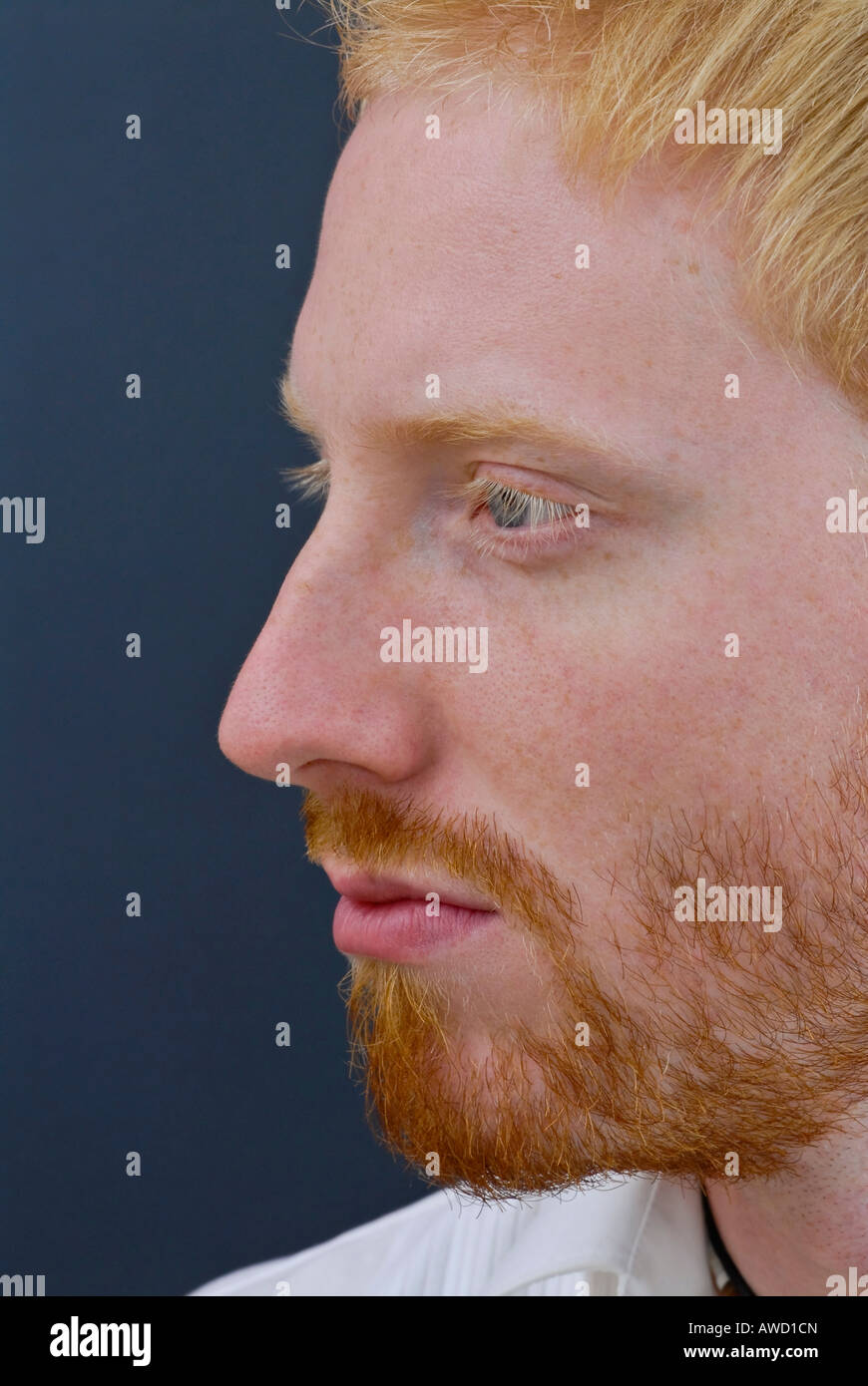 Homme 40 ans roux Banque de photographies et d’images à haute ...