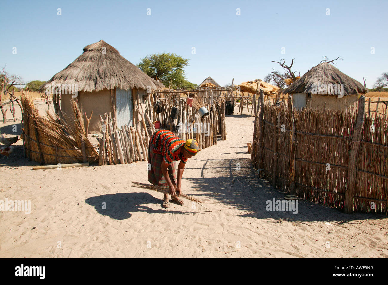 Women village botswana africa Banque de photographies et d’images à ...