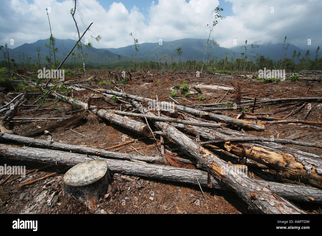 Deforestation australia Banque de photographies et d’images à haute ...