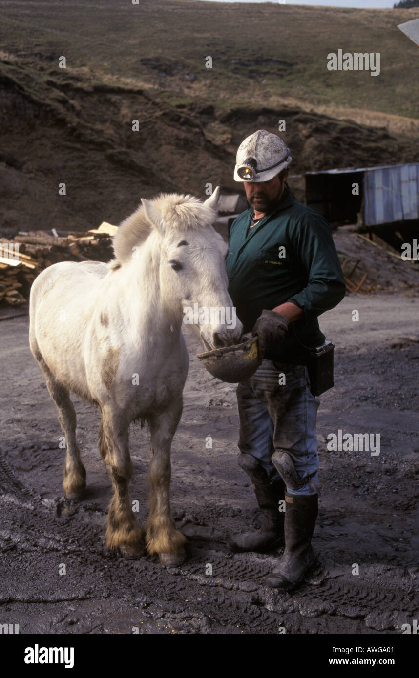 Pit pony mine Banque de photographies et d’images à haute résolution ...