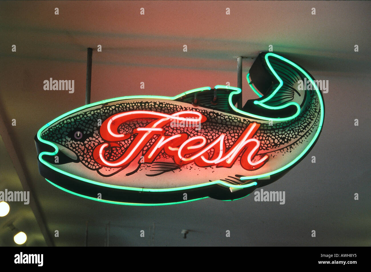 États-unis d'Amérique, du nord-ouest du Pacifique, l'État de Washington ...