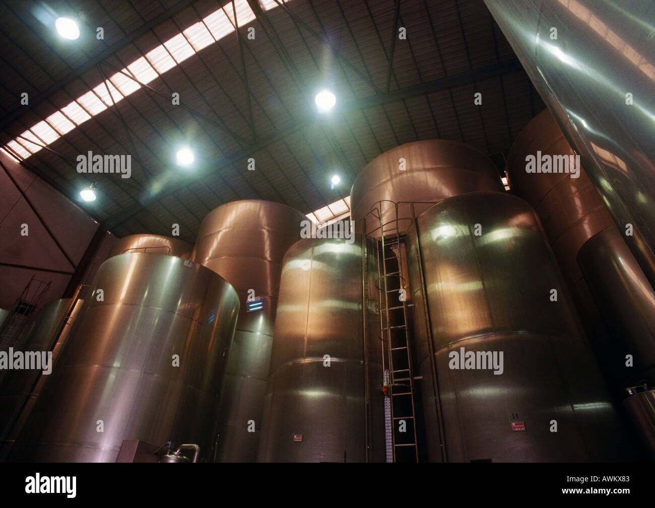Cuves en acier pour la fermentation des vins Banque de photographies et ...