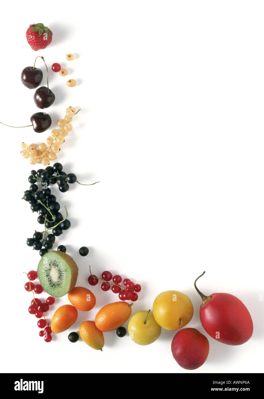 Fruits de solanum nigrum Banque de photographies et d’images à haute ...