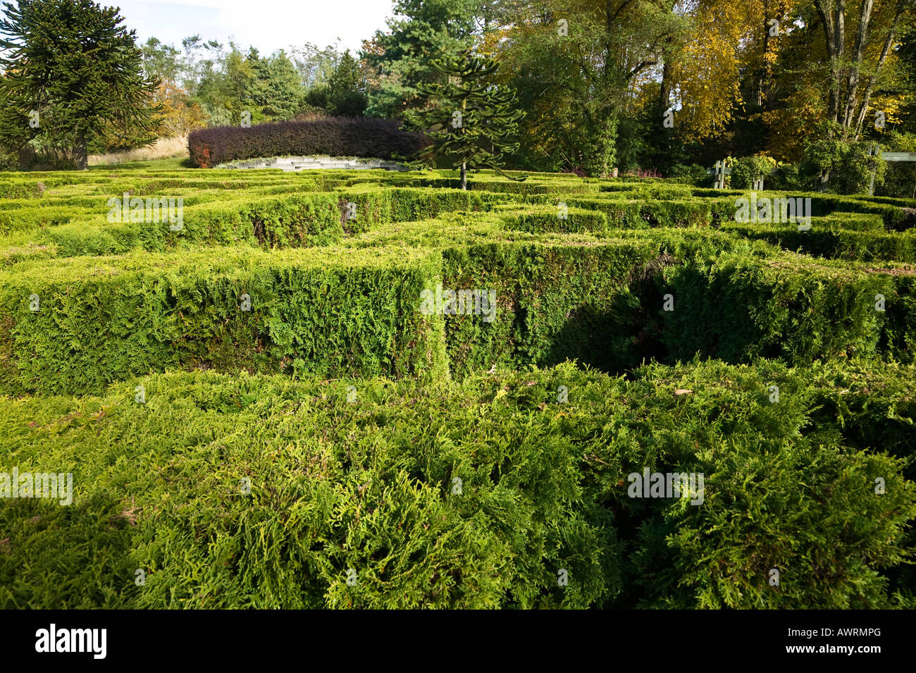 Labyrinthe De Haies En Plein Air Banque d'image et photos - Alamy