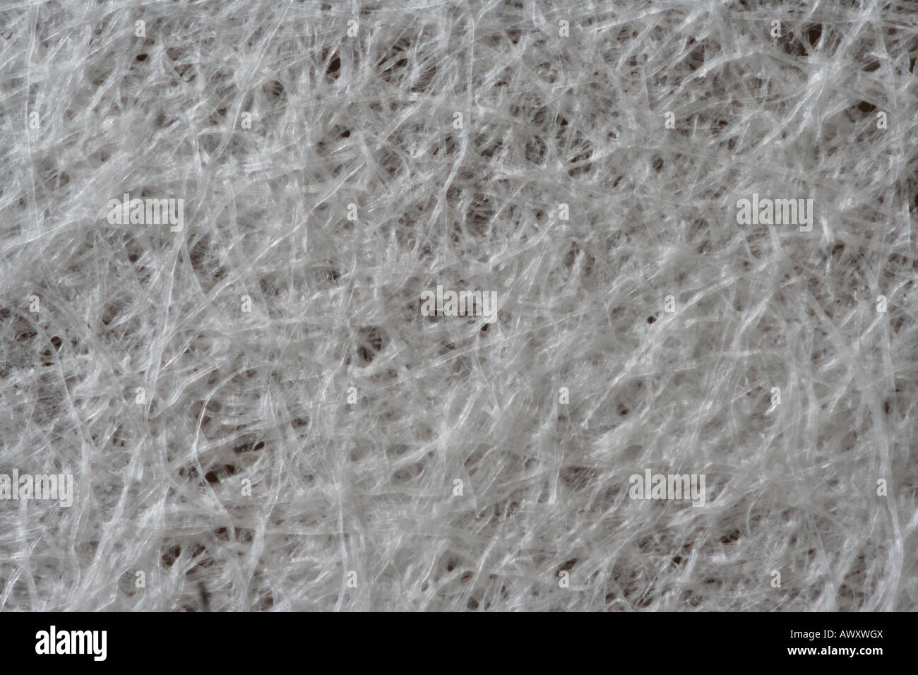 Macro photographie d'un morceau de papier filtre, montrant les fibres ...