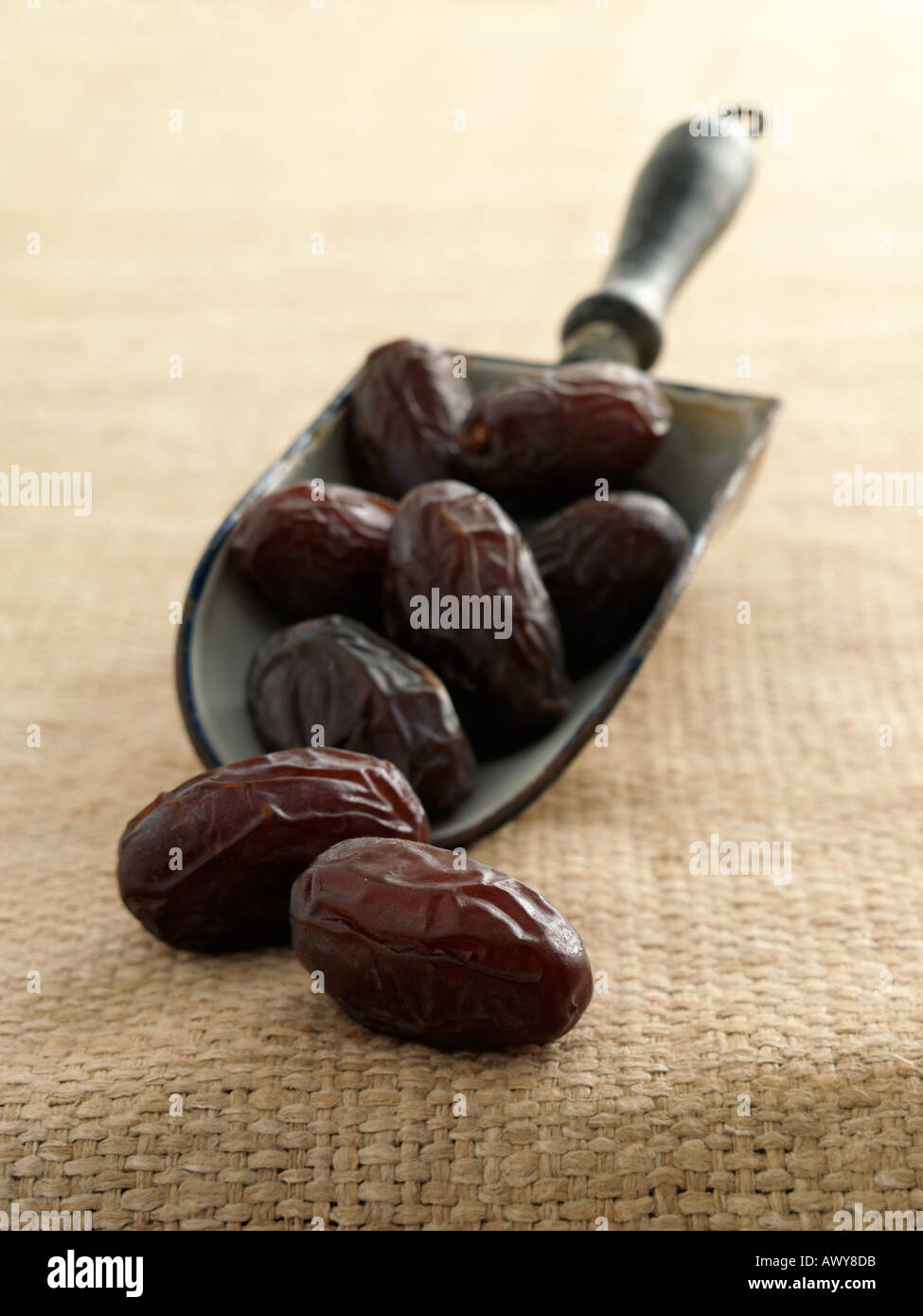 Fruits comestibles de la date Dates palm mûrissent en quatre étapes qui ...