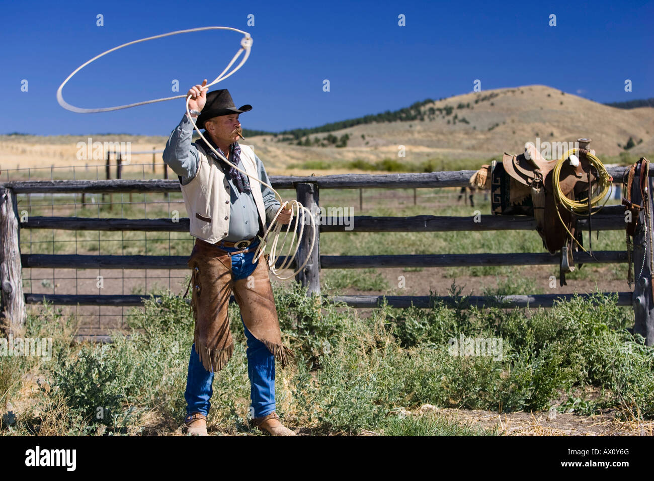 Cowboy throwing lasso Banque de photographies et d’images à haute ...
