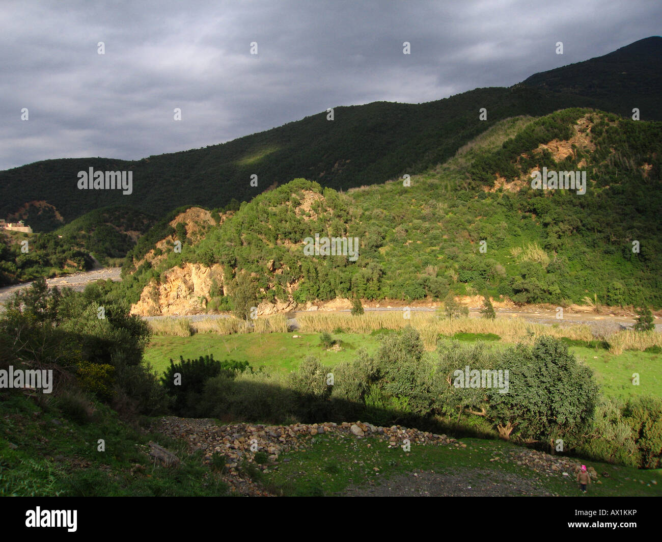 La chiffa Banque de photographies et d’images à haute résolution - Alamy