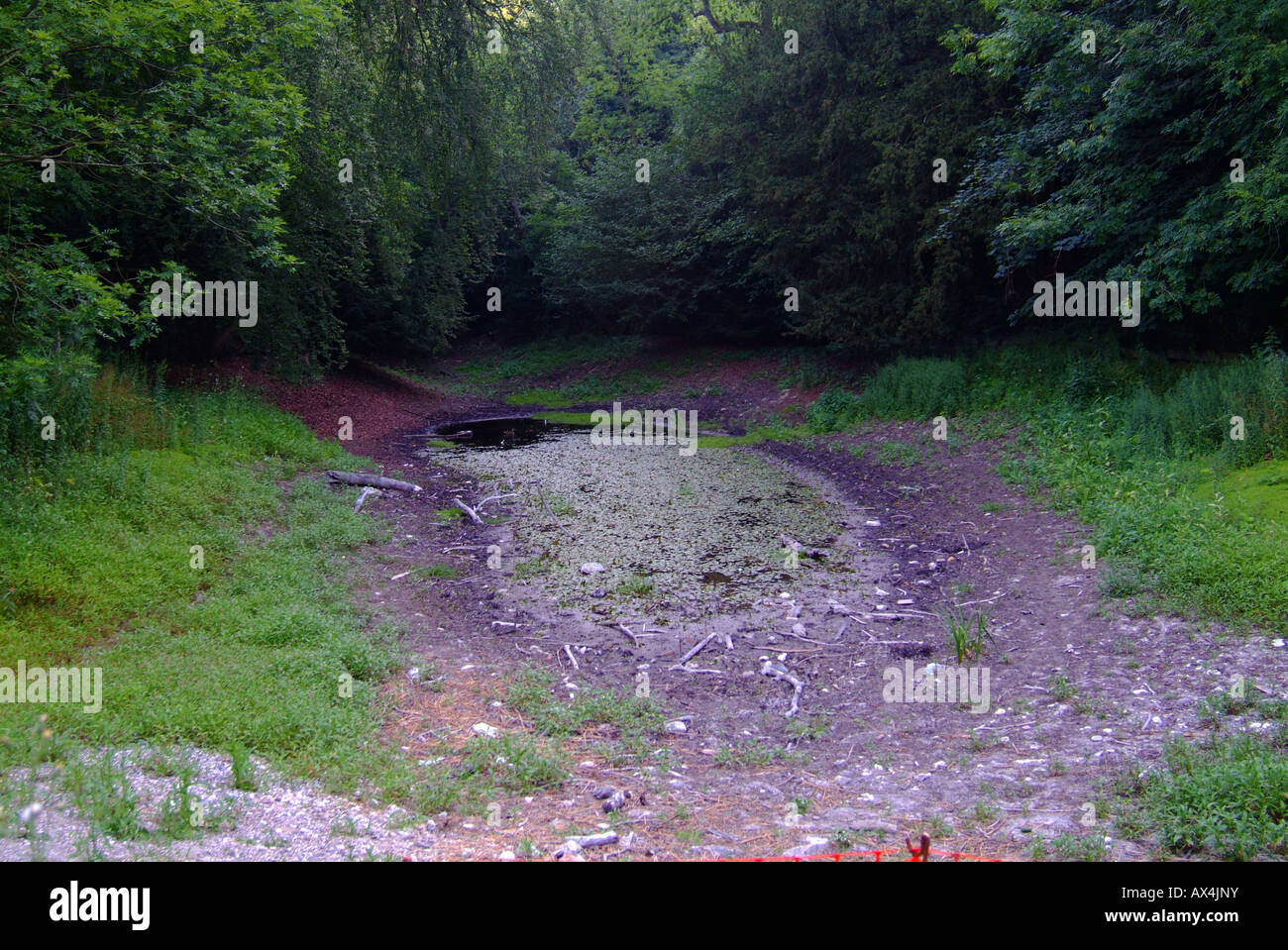 Mare seche Banque de photographies et d’images à haute résolution - Alamy