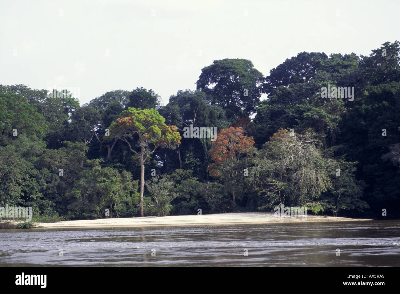 Fleuve ogooue gabon Banque de photographies et d’images à haute ...