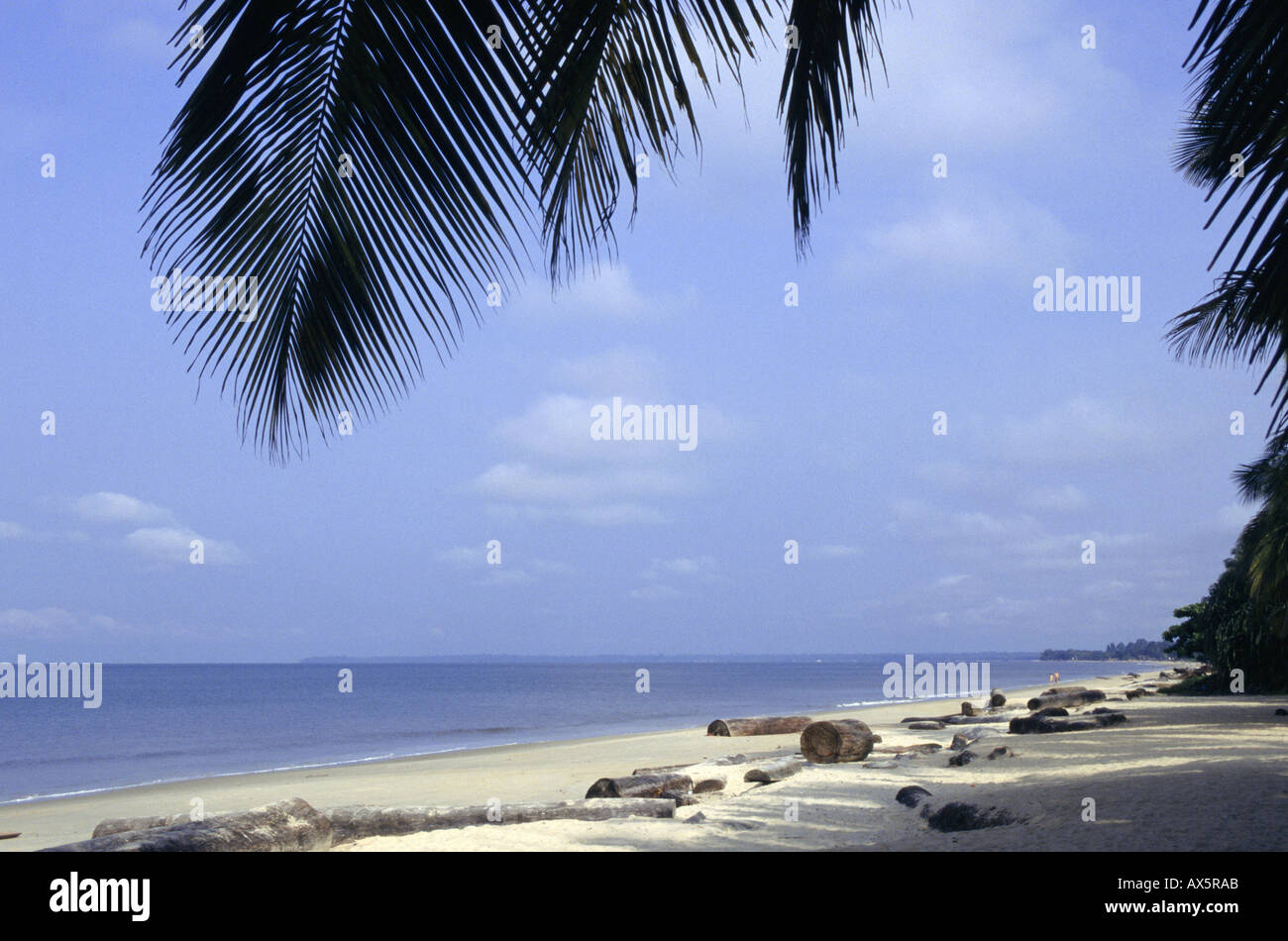Libreville, Gabon. Plage avec des feuilles de palmier en surplomb Photo ...